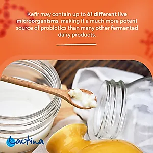 Lactina Kefir Starter Culture Probiotic May Boosts Gut Health and Digestive Wellness Naturally 10 Sachets for 10 Liters