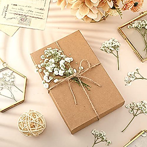 Dried Babys Breath Flowers Bouquet Ivory White Babys Breath Real Flowers Natural Gypsophila Branches Dry Pressed Gypsophila for Wedding Resin Art Craft DIY Card Making Home Party Decor (100 Pcs)