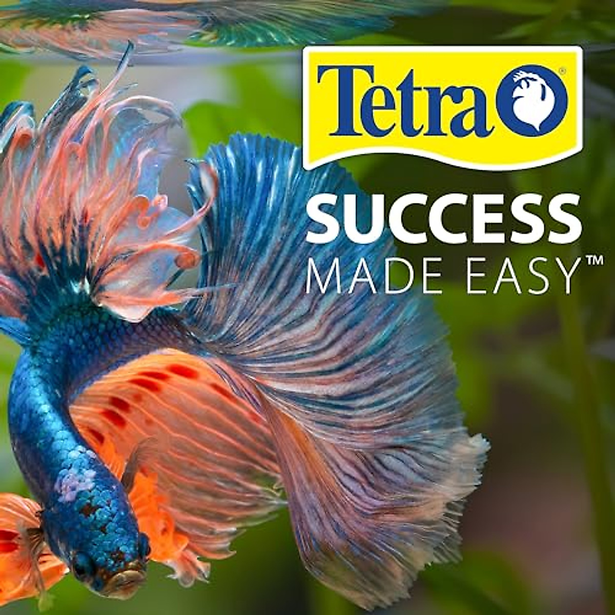 Tetra Ick Guard 8 Count, Quick Remedy For Ick In aquariums,Golds & Yellows