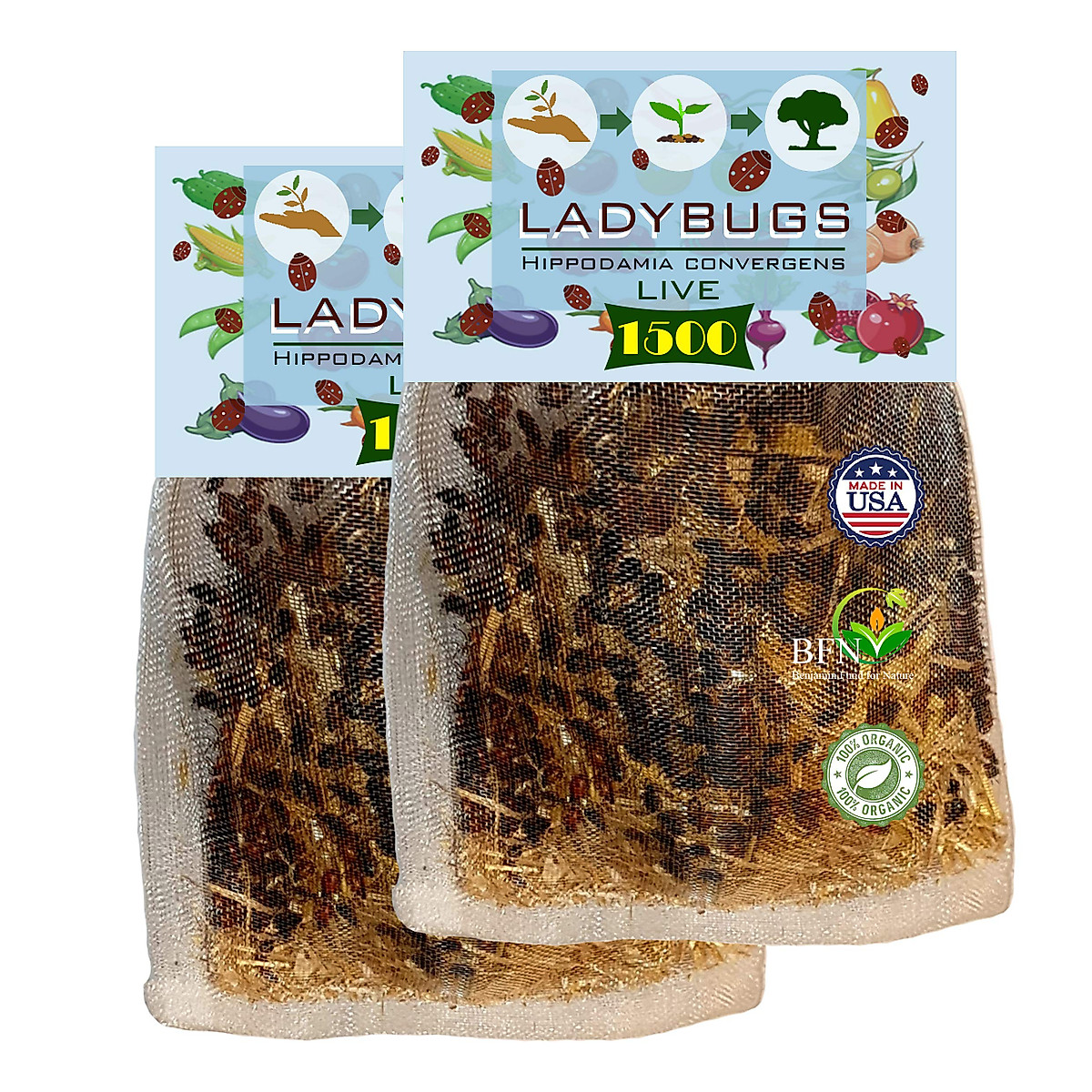 3000 Live Ladybugs - Good Bugs - (2 X 1500 Live Ladybugs) for Garden - Guaranteed Live Delivery!