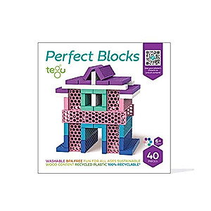 Tegu 40 Piece Perfect Blocks Building Set Purple & Blue (Amazon Exclusive)
