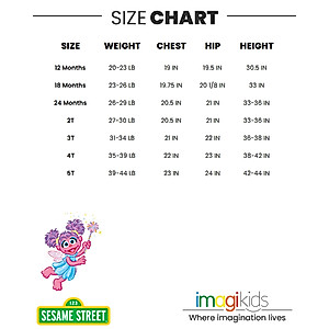 Sesame Street Abby Cadabby Toddler Girls Pullover Hoodie Abby Cadabby 5T