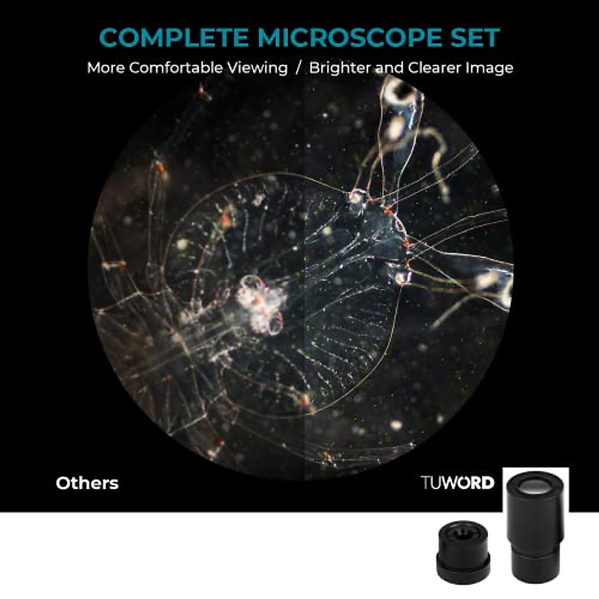 Tuword Microscopes for Kids Students Adults, 40X-1000X Optical Glass Lenses Microscope for School Home, Cordless LED Student Biological Compound Microscope with Microscope Slides, Phone Adaptor
