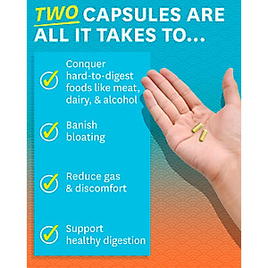 Zenwise Health NO BLØAT - Probiotics for Digestive Health with Ginger, Dandelion, and Cinnamon, Digestive Enzymes for Gas and Bloating Relief for Women and Men - Water Retention Pills - 100 Count