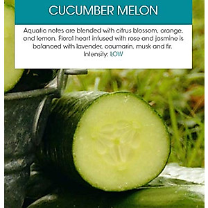 NASSCO Wave 3D Enzymatic Urinal Screen, Cucumber Melon, 10 per Box