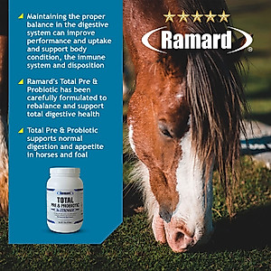 Ramard Total Pre & Probiotic Plus Blood Fluids Muscle Replenishment Supplement Bundle - 50 Million CFU Formulated w/Natural Chicory Inulin, & Electrolytes for Equine, Foals & Adult Horses Supplements