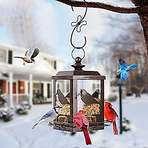 BOLITE 18034 Bird Feeder, Panorama Bird Feeder Single-Deck Lantern 8inch Tall Bird Feeder for Garden Yard Decoration, Bronze, 2lb