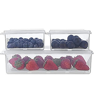 Komax Daykips Berry Containers for Fridge | (Set of 3) lettuce keeper for fridge | Produce Storage BPA-Free Freezer and Fridge Organizers with Dripping Tray | Salad Keeper