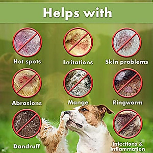 Arava Natural Medicated Dog Shampoo – Anti Yeast Anti Itch Dog Shampoo - Healthy Skin & Coat - First Aid in Hot Spots Ringworm Scrapes Abrasions & Dermatologic Infections - 400ml / 13.5 fl oz