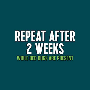 EcoLogic Bed Bug Killer, Case Pack of 12