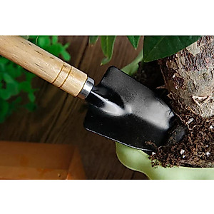Gardenera Bonsai 3PC Gardening Tool Set: Rake, Spade, Shovel - Wooden Handles - Best Kit for Potted Plant, Flower and Seedling Care - Ergonomic Design for Little Hands - Great Gift for Gardeners