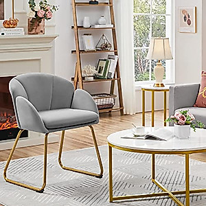Yaheetech Flower Shape Velvet Armchair, Modern Side Chair Vanity Chair with Golden Metal Legs for Living Room/Dressing Room/Bedroom/Home Office/Kitchen, Gray