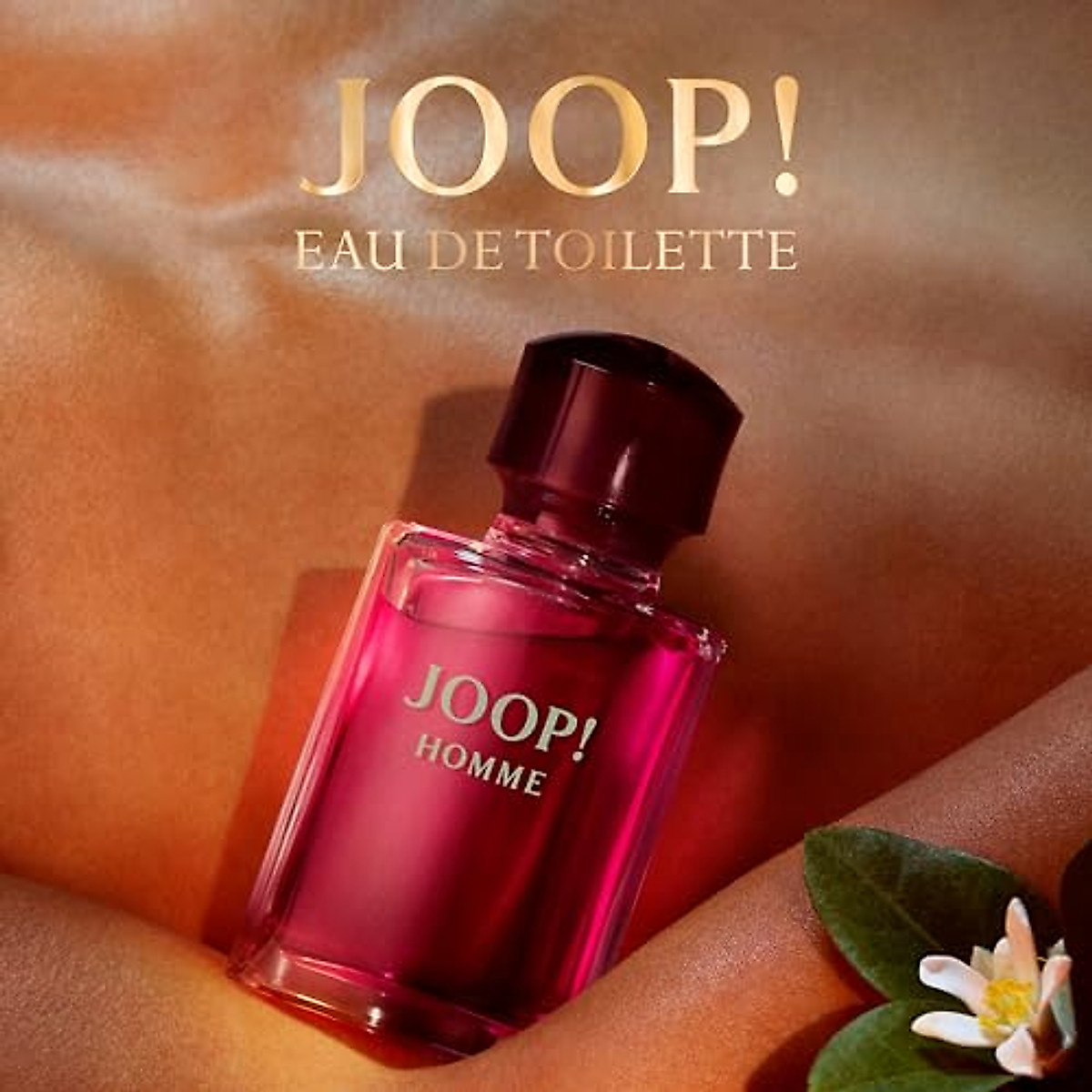 JOOP! Homme 2.5 oz EDT Spray for Men