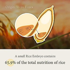 [I'm From] Rice Serum, 73% Fermented Rice Embryo Extract | Improve Hyperpigmentation, Boost Collagen, Vitality, Supply nutrients to skin with Vitamin B, healthy glow