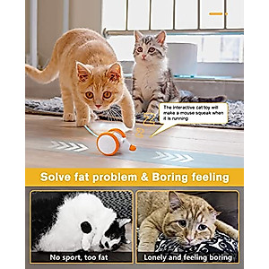 Hoofun Automatic Interactive Cat Toys for Indoor Cats: Pet Play Ball Kittens Electronic Rat Cats Toys with LED Lights Kitten Toys Mice Smart Toys, Cats Toys with Motion Wheel (Mouse)