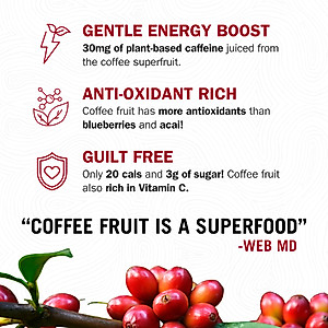 The Other Side of Coffee – Upcycled Coffee Fruit Juice Drink, Non-Carbonated, Antioxidant Rich, Low Caffeine (30mg), Low Calorie, Low Sugar, 100% Natural, 12 Fl Oz, Berry Flavor (Pack of 12)