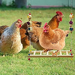 PINVNBY Chicken Toys Set Hens Xylophone Toy with 8 Metal Keys Chook Suspensible Wooden Swing Ladder Chick Veggies Skewer Fruit Holder Hanging Feeder for Chicken Coop Accessories Supplies (Suit 2)