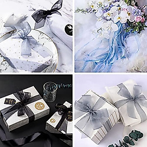1 Inch Organza Ribbon 300 Yards, Sheer Chiffon Ribbon for Gift Wrapping Decoration, Transparent Tulle Ribbon for Birthday Presents, Cards, Wedding Invitations, Bows Crafts (6 Rolls* 50 Yards)