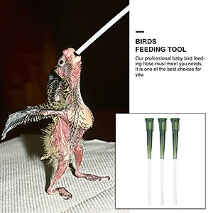 Soft Birds Feeding Hose Puppy Food Birds Water Feeder Bird Feeding Tubes Birds Feeding Hoses, 3pcs Parrot Feeding Hose Tool Birds Feeding Dropper Feeding Tube Birds Feeding Tool