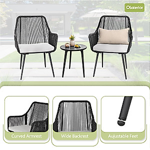 Olaterior Patio Dining Chairs Set of 2, Outdoor Dining Chairs, All-Weather Woven Twisted Wicker Rattan Chair with Armrest and Cushion, Modern Indoor Outdoor Seating for Garden, Lawn, Backyard, Black