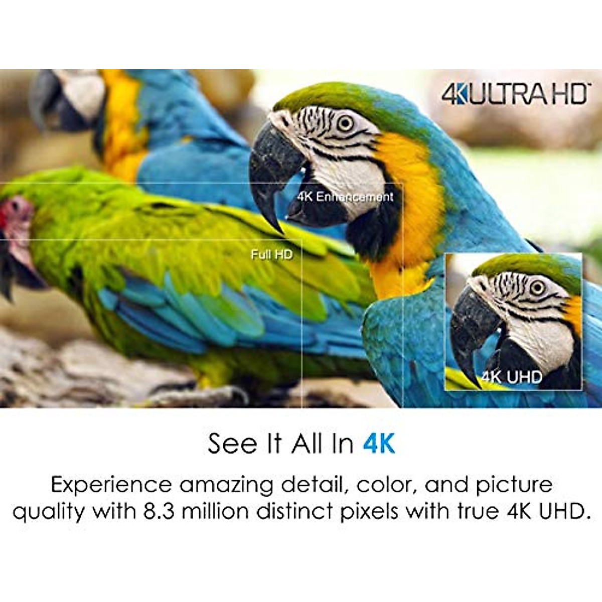 Optoma UHD51A 4K UHD Smart Home Theater Projector, Works with Amazon Alexa & Google Assistant