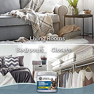 SMELLS BEGONE Pet Odor Absorber Gel - Air Freshener & Odor Eliminator - Made with Essential Oils - Fresh & Clean Scent - 15 Ounce