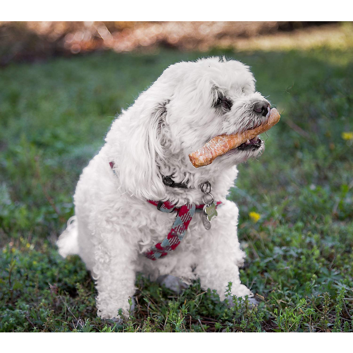 Lucky Premium Treats Chicken Wrapped Dog Treats – Retriever Size - USA Made Raw Hide Sticks for Large Size Dogs – Long Lasting, Preservative Free Dog Treat – 17 Chews