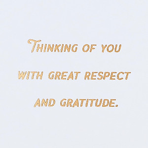 American Greetings Thank You Card for Military (Respect and Gratitude)