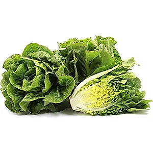 "Little Gem" Butterhead Lettuce Seeds for Planting, 1000+ Heirloom Seeds Per Packet, (Isla's Garden Seeds), Non GMO Seeds, Scientific Name: Lactuca Sativa, Great Home Garden Gift