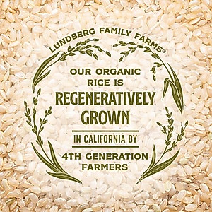 Lundberg Thin Stackers - Rice Cakes, Organic Brown Rice Lightly Salted, Healthy Snacks for Adults and Kids, Low-Calorie Snacks, Organic Snacks, Vegan, 6 Oz (Pack of 3)