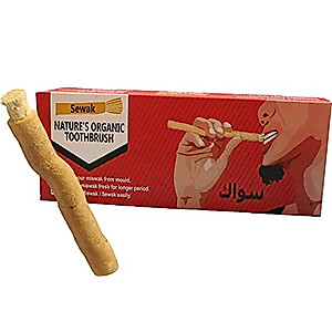 SEWAK Miswak Sticks for Teeth Natural Toothbrush | مسواك | Siwak Organic Wooden Tooth Brush Oral Teeth Whitener with Holder | Vacuum Sealed (10 Pack)
