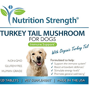 Nutrition Strength Turkey Tail Mushroom for Dogs to Support a Strong Immune System, Promote Gut Health, Antioxidant Activity & Inflammatory Relief, Reduce Fatigue & Boost Stamina, 120 Chewable Tablets