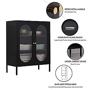 LINGZOE Black Storage Cabinet with Steel Frame and 2 Glass Door, Home Locker Sideboard Cabinet Organizer for Books, Magazines, DVDs Storage Shelf