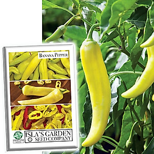 Banana Pepper Seeds for Planting, 100+ Heirloom Seeds Per Packet, (Isla's Garden Seeds), Non GMO Seeds, Other Name: Yellow Wax Pepper/Banana Chilies, Scientific Name: Capsicum annuum