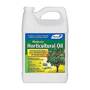 Monterey Horticultural Oil 1gal