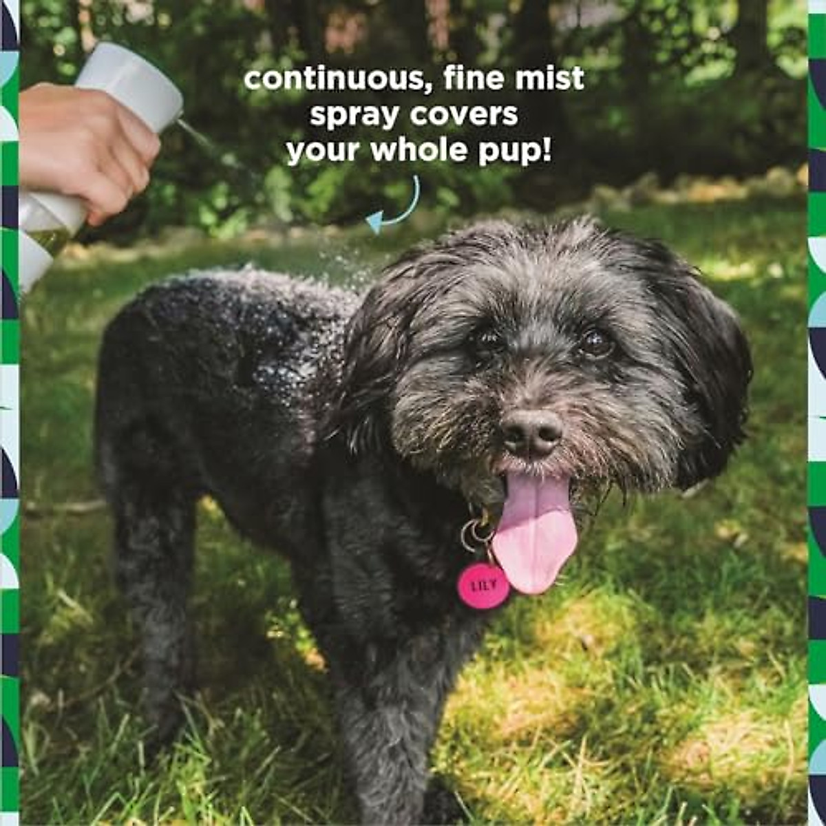 Pet Life Unlimited Natural Flea and Tick 3-Step Kit - Flea and Tick Spray for Dogs, Flea Spray for Home, and Flea and Tick Shampoo for Dogs - Plant-Based Flea and Tick Kit - Made in USA - 3-Step Kit