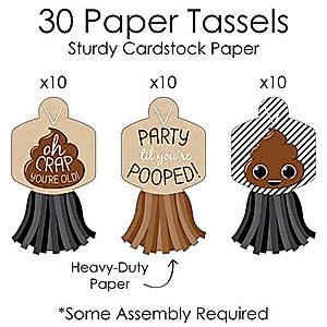 Big Dot of Happiness Oh Crap, You’re Old - 90 Chain Links and 30 Paper Tassels Decoration Kit - Poop Birthday Party Paper Chains Garland - 21 feet