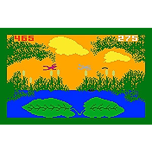 Blaze Evercade Intellivision Cartridge 1 - Nintendo DS