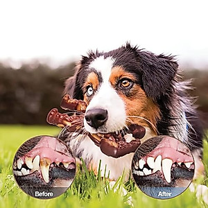 Grebest Teeth Cleaning Dog Toy Dental Dog Toy Dog Toy Realistic Gorilla Shape Chew Toy for Dogs Durable Nylon Bite-Resistant Teeth Grinding Pet Supplies Red