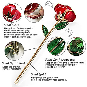 Sinvitron Red Real Rose Flowers, Gold Dipped Rose, Plated Real Rose with Stand & Box, Gift for Mom, Mothers Day, Thanksgiving, Birthday, Anniversary, Wedding, Valentines Day Gifts for her