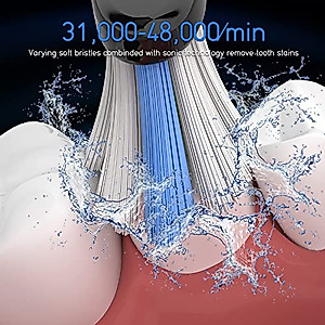 Replacement Brush Heads for Olybo Sonic Toothbrushes (Black)