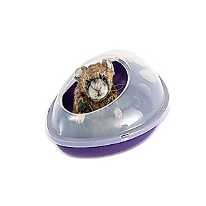 Lixit Chinchilla Dry Sand/Dust Wellness Bath (Purple)