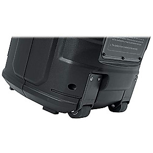 Rockville Go Party ZR10 Dual 10" Portable Wireless LED Bluetooth Speaker+UHF Mic