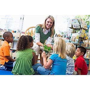 TickleMe Plant Classroom or Homeschool Science Fun Planting Party kit - for 30 Students - Grow The House Plant That Closes Its Leaves When You Tickle It. Includes Activity Book