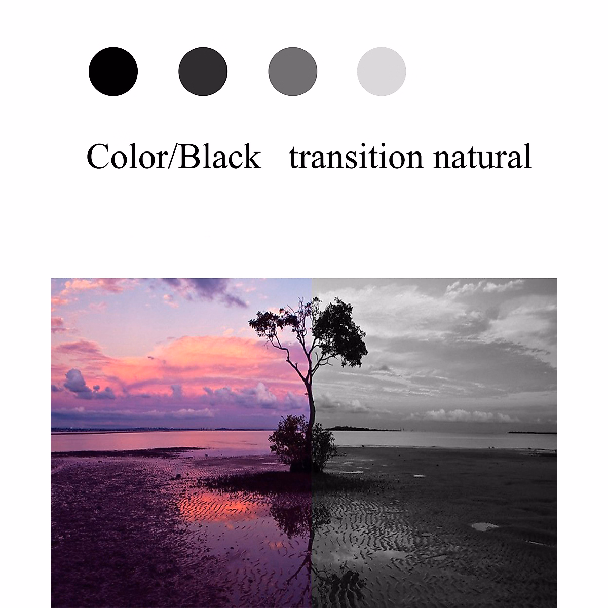 MM MUCH & MORE Compatible 910XL Black Ink Cartridge Replacement for HP 910 XL 3YL61AN to use with OfficeJet 8025e 8035e 8025 8035 8028 8022 8020 Printers (1-Pack)