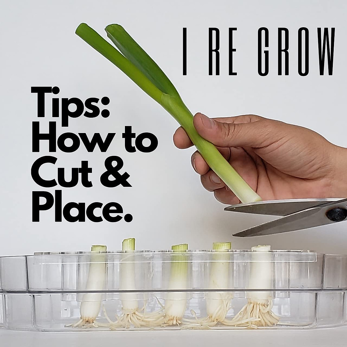 Indoor Gardening System/Small/No Electricity Needed/All Year Round/Hydroponic Growing The Easy Way/Propagate-Regrow in Your Kitchen/I Re Grow