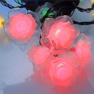 Solar String Lights 20/30/50/100LED Solar Rose String Lights Starry FairyWaterproof for Christmas Outdoor Indoor Gardens Homes Wedding Holiday Party (Emitting Color : Warm White)