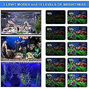 VARMHUS Submersible LED Aquarium Light,Fish Tank Light with Timer Auto On/Off Dimming Function,3 Light Modes Dimmable White-Blue,10 Brightness Levels Optional&3 Levels of timed Loop Function 7.5''