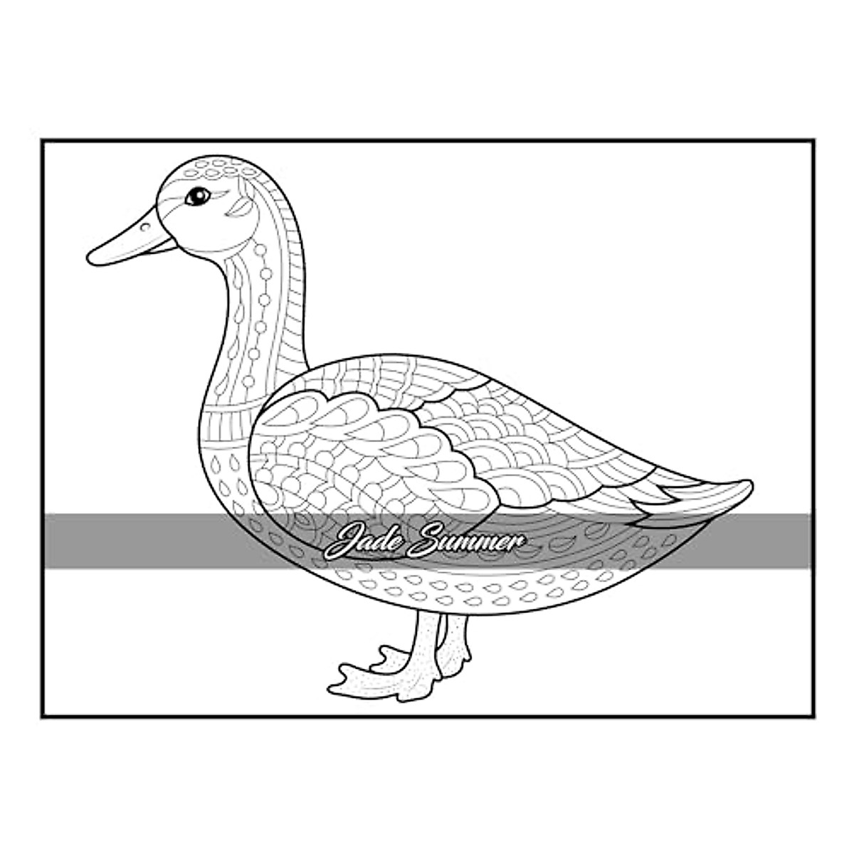 100 Animals: An Adult Coloring Book with Lions, Elephants, Owls, Horses, Dogs, Cats, and Many More!