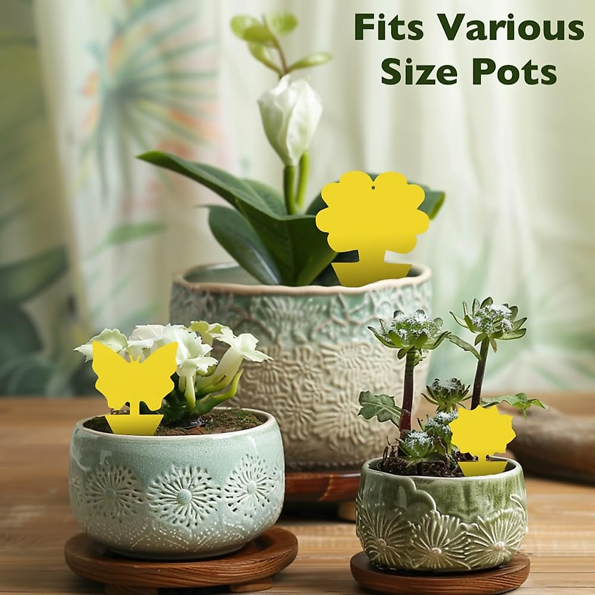 48 Pcs Multi-Sized Sticky Trap For Fungus Gnat (Plants), Flying Insect, Fly, Beautify & Liveliness, Usable In Various Size Pot, Yellow Insect Trap For Indoor, Outdoor, Kitchen & Plant, 3-Shape, 3-Size